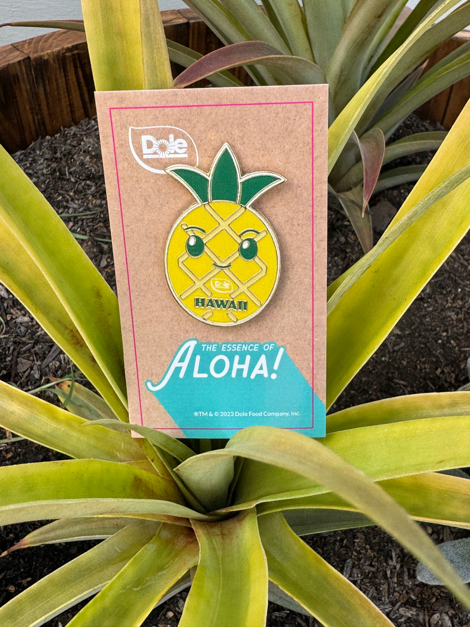 Dole Fruit Hawaii & Waialua Estate Merchandise